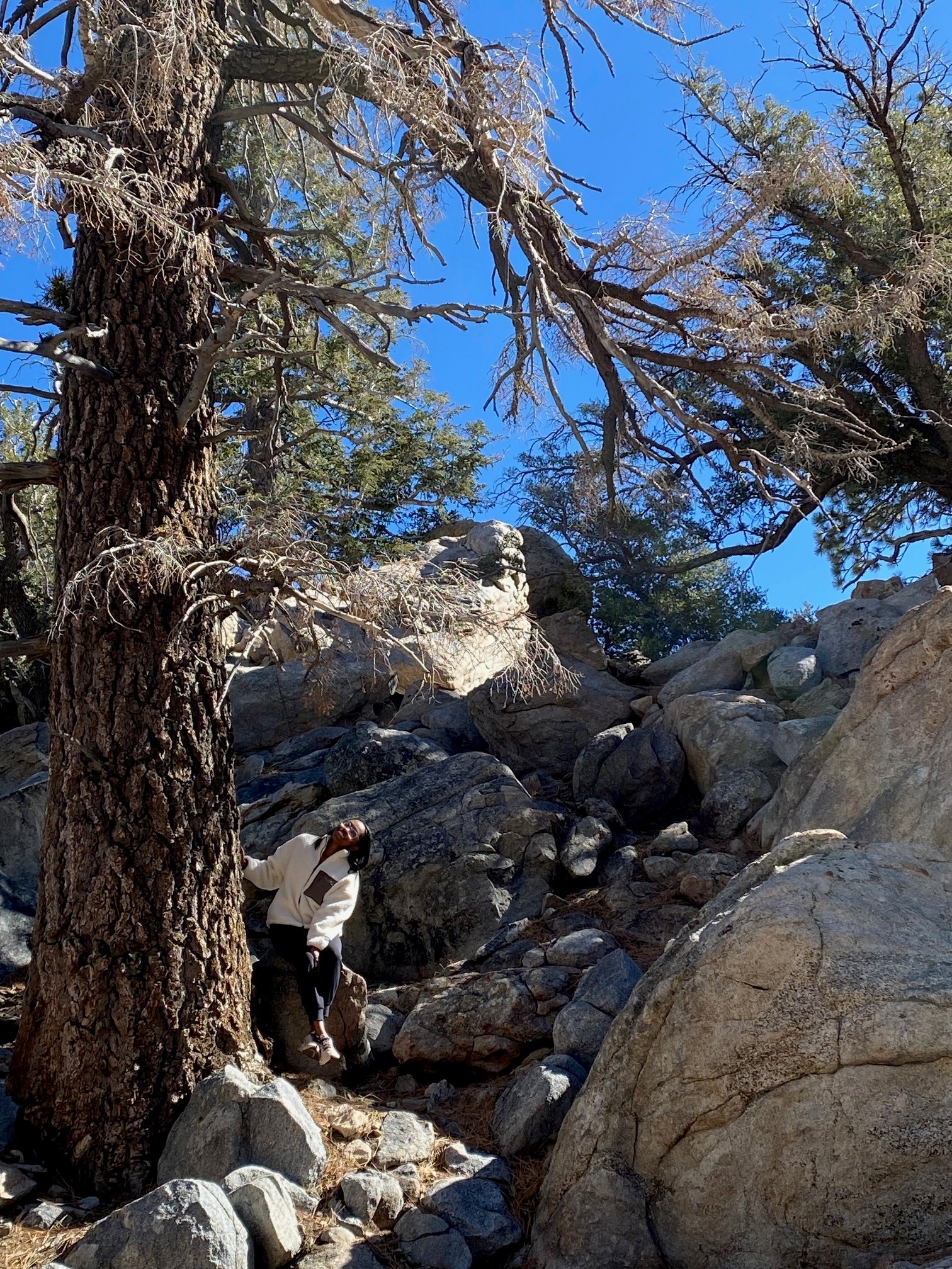 Scouts Go Farther – Chablise Davis – Scout Motors Stories