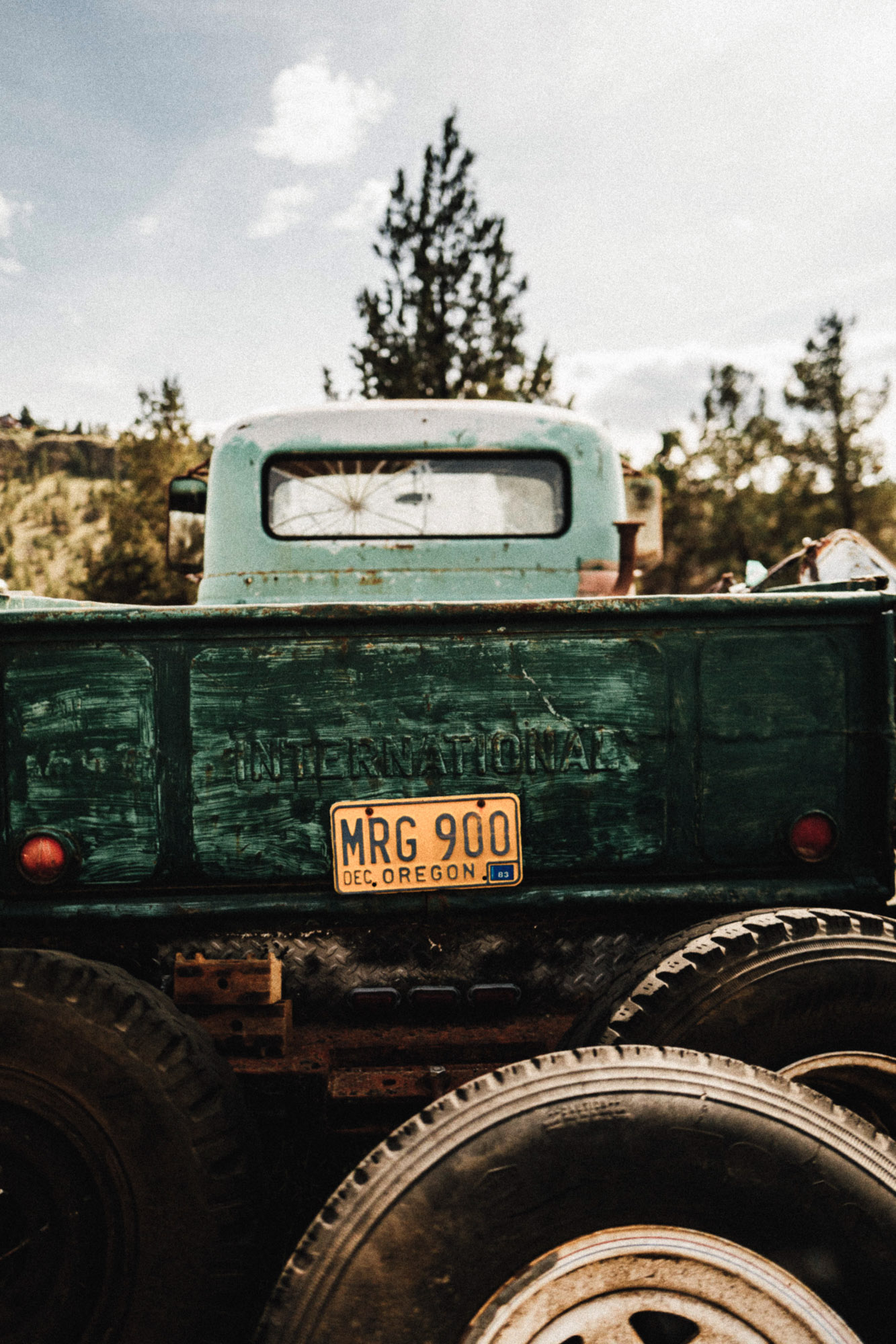 Meet Dan Hayes: The Heart Behind Binder Boneyard – Scout Motors Stories