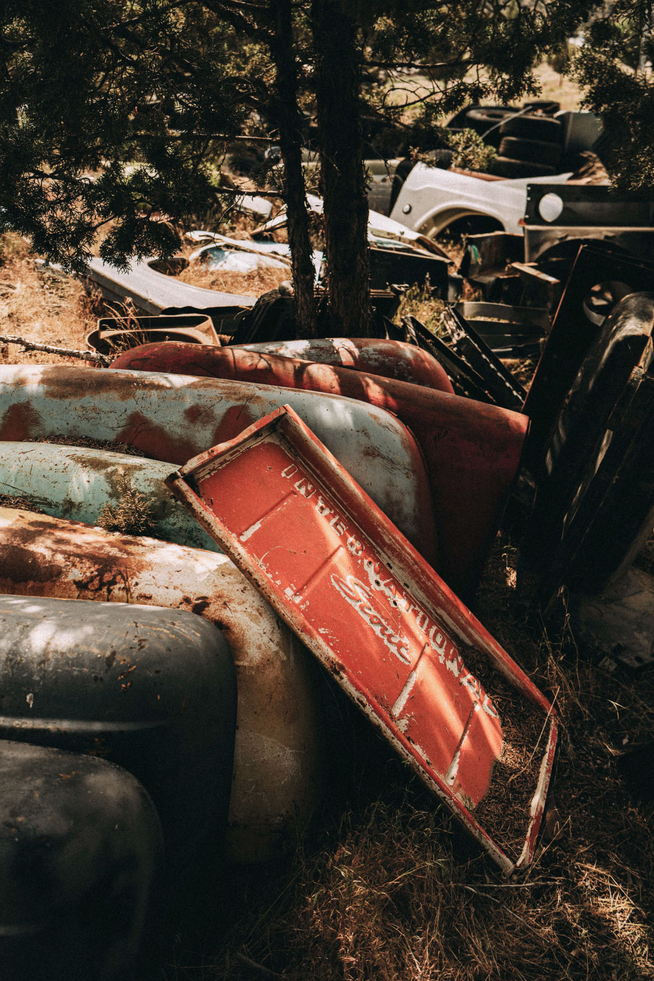 Meet Dan Hayes: The Heart Behind Binder Boneyard – Scout Motors Stories