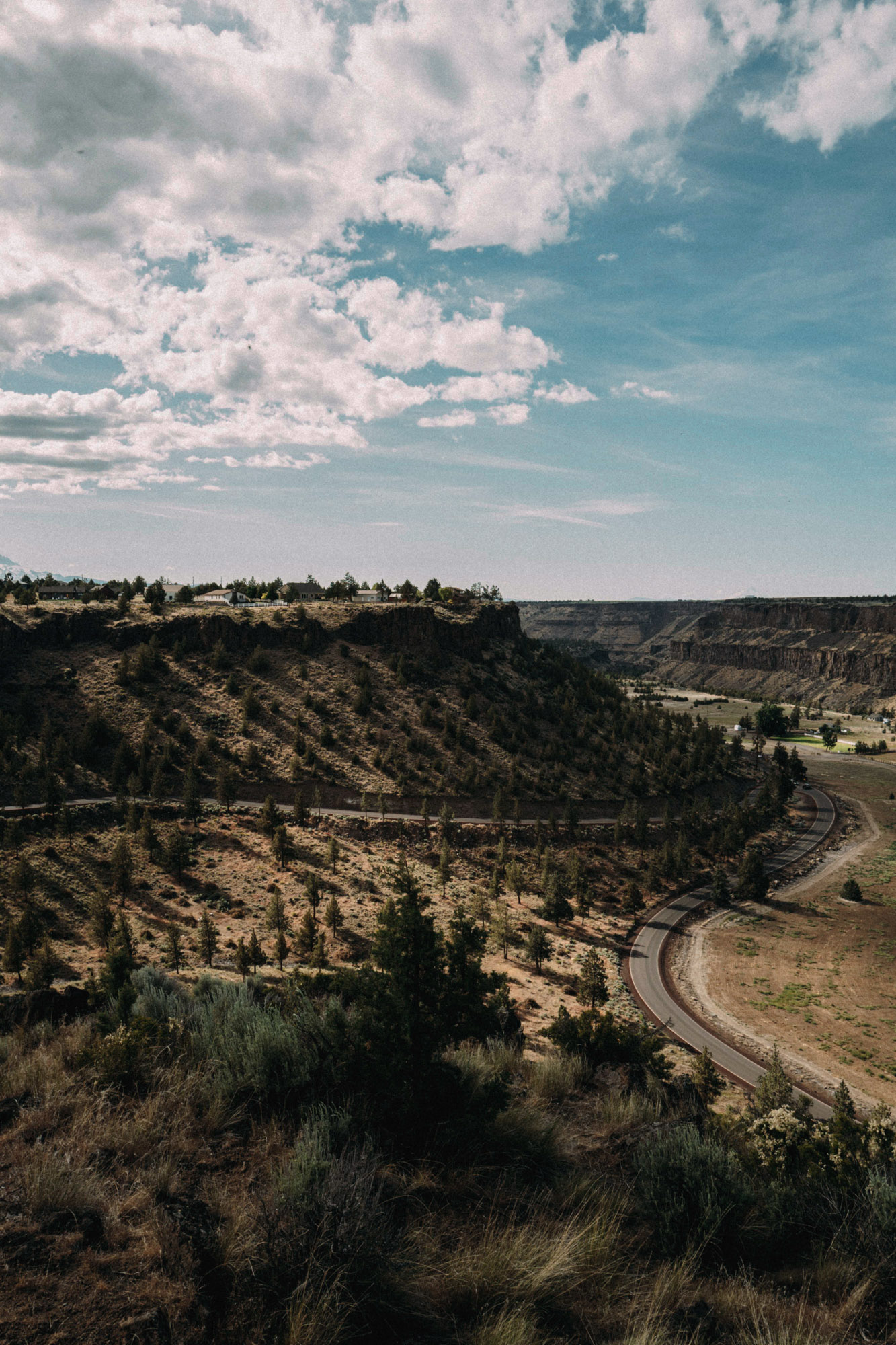 Meet Dan Hayes: The Heart Behind Binder Boneyard – Scout Motors Stories